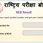 NEB - Class XI & XII (+2 Class 11 & 12) Results with Marksheet 2080/ ...